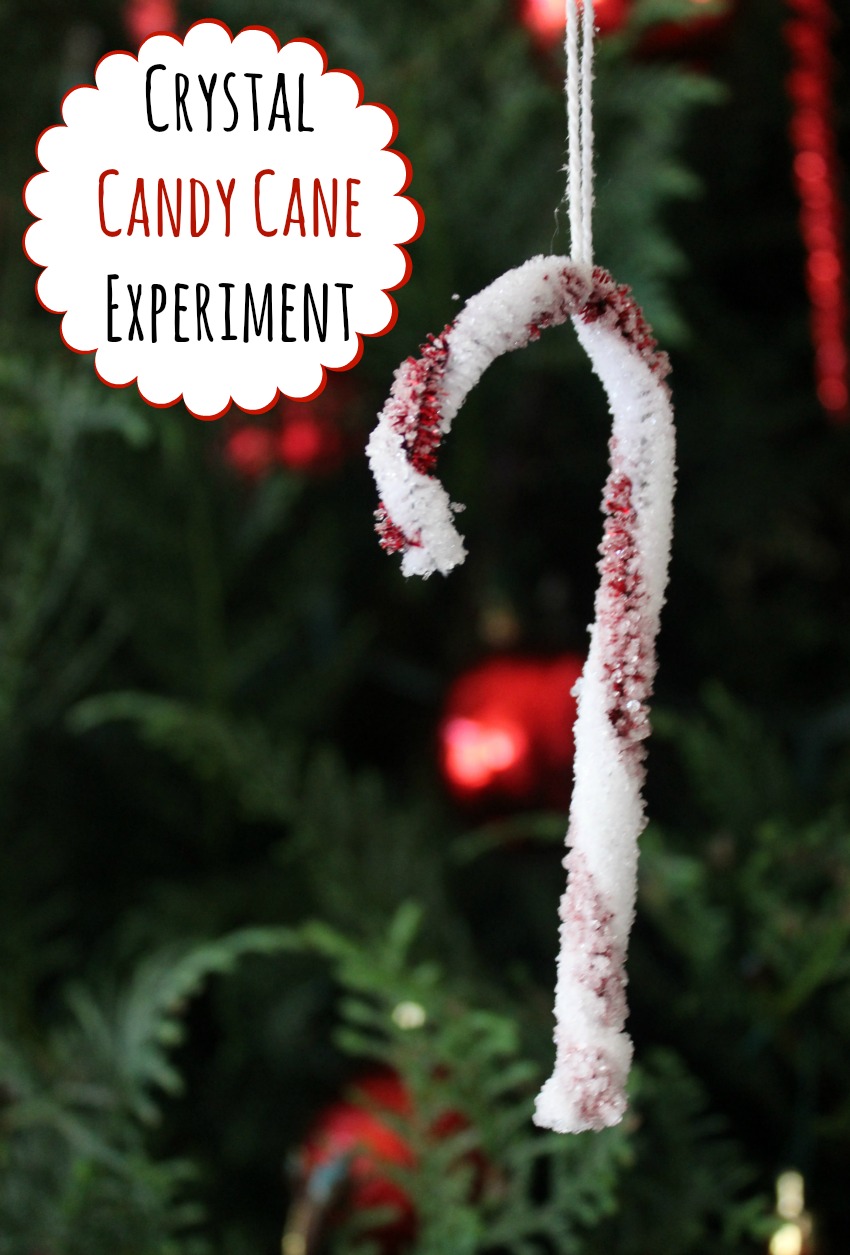 Crystal Candy Cane Science | Make and Takes